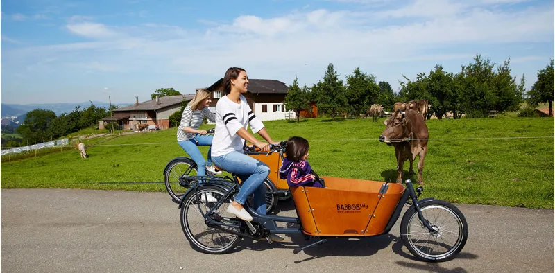 Babboe City Mountain 500Wh Electric Cargo Bike Black